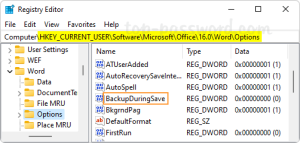 Configure Word to Create Automatic Backup Copy of a Document (2 Methods) | Password Recovery
