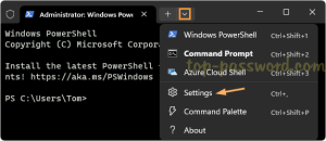 2 Methods to Reset Windows Terminal to Default Settings | Password Recovery